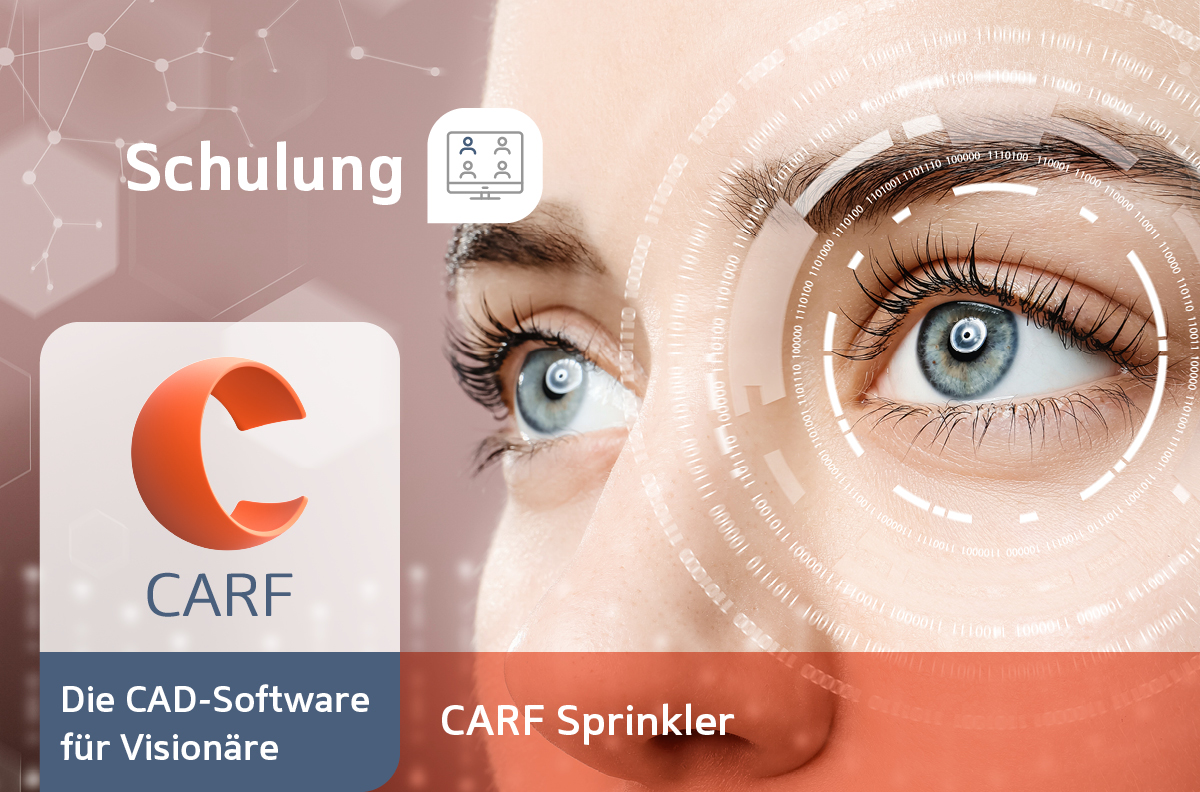 Training CARF Sprinkler | LuArtX IT GmbH